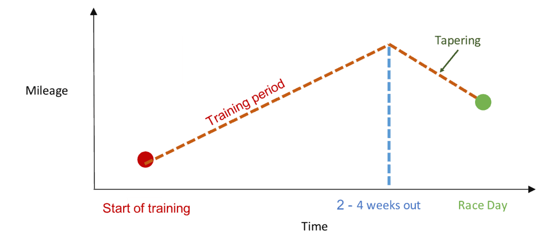 The Marathon Taper - How To Taper For A Marathon