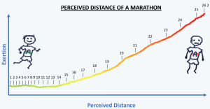 How Long Is A Marathon? 4 Methods Of Measuring Marathon Length