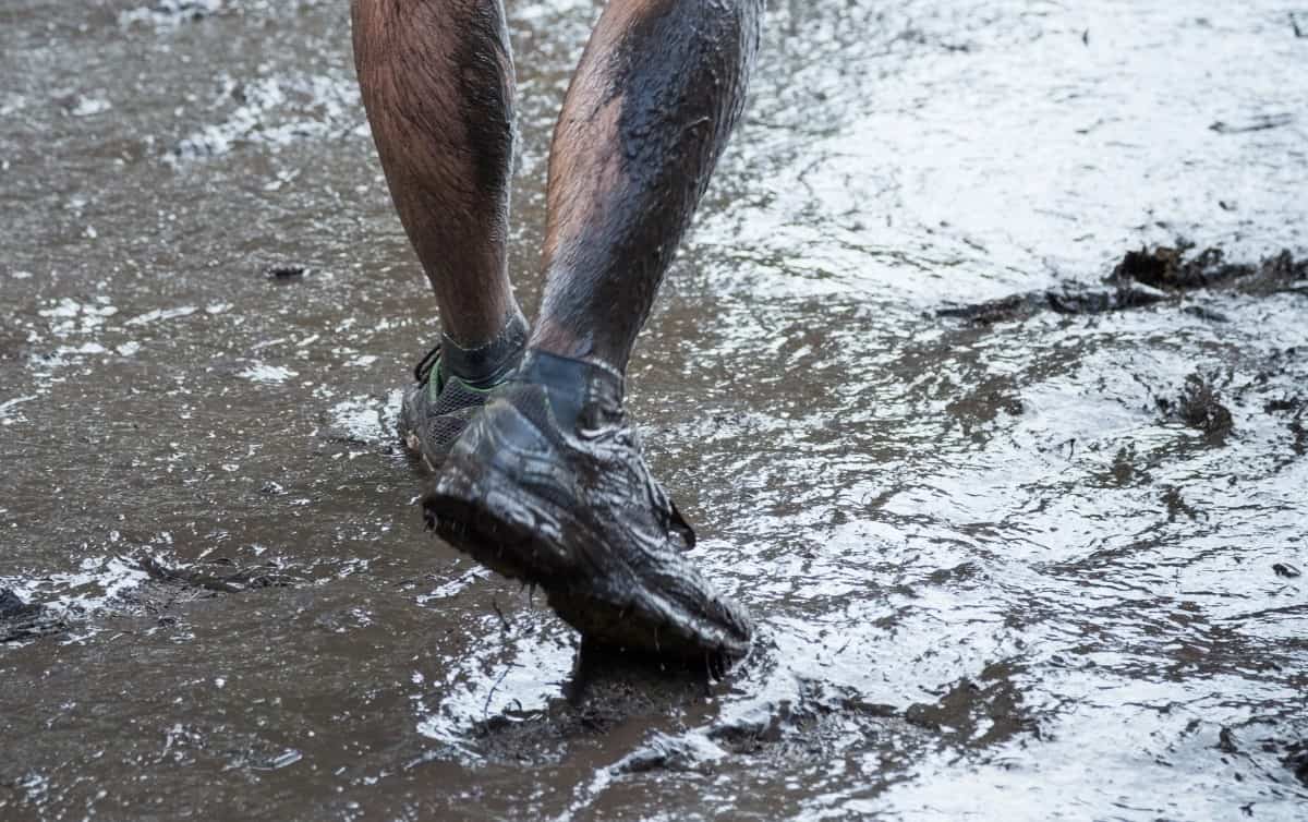 Cross Country Running Guide: What It Is, How To Train