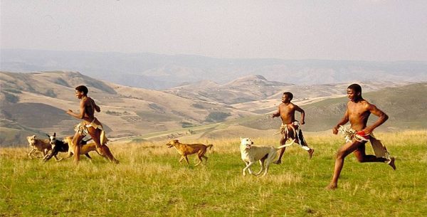 When Was Running Invented?: An In-Depth Look At The History Of Running