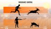 When Was Running Invented?: An In-Depth Look At The History Of Running