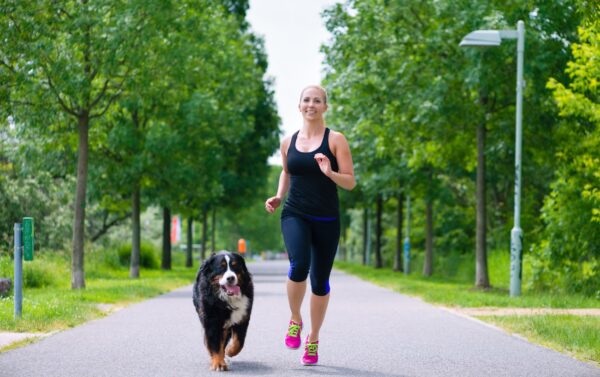 How To Start Running With Your Dog: 5 Practical Training Tips