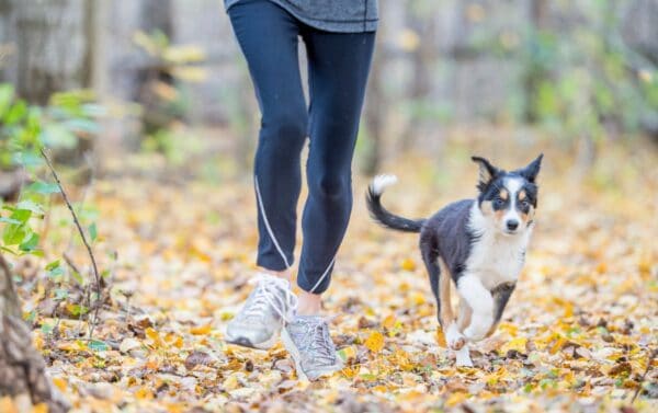 How To Start Running With Your Dog: 5 Practical Training Tips
