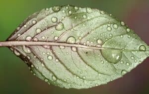 Running In Humidity: 8 Tips To Improve Your Summer Running Experience