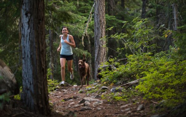 Base Training For Runners: Unlock Endurance, Speed, And Long-Term Gains