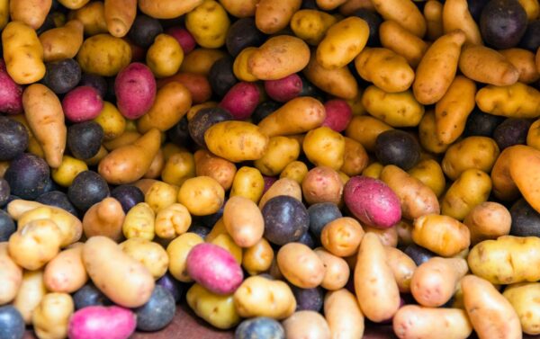 High Carb Vegetables: 10 Of The Best