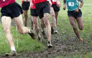 How To Train For Cross Country: 6 Effective Workouts + Training Tips