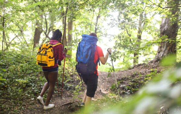 What Is A Switchback In Hiking? + 5 Tips To Master Your Next Big Climb