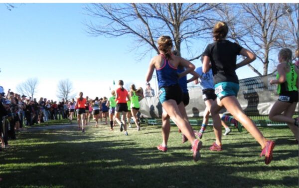 What Is Cross Country Running? Beginner’s Guide + Training Tips ...