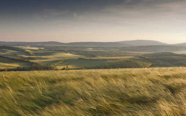Running In The Wind: 7 Tips For Windy Runs