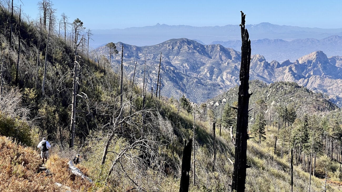 WATCH: Jared Campbell Risks His Barkley Marathons To Help Jasmin Paris ...
