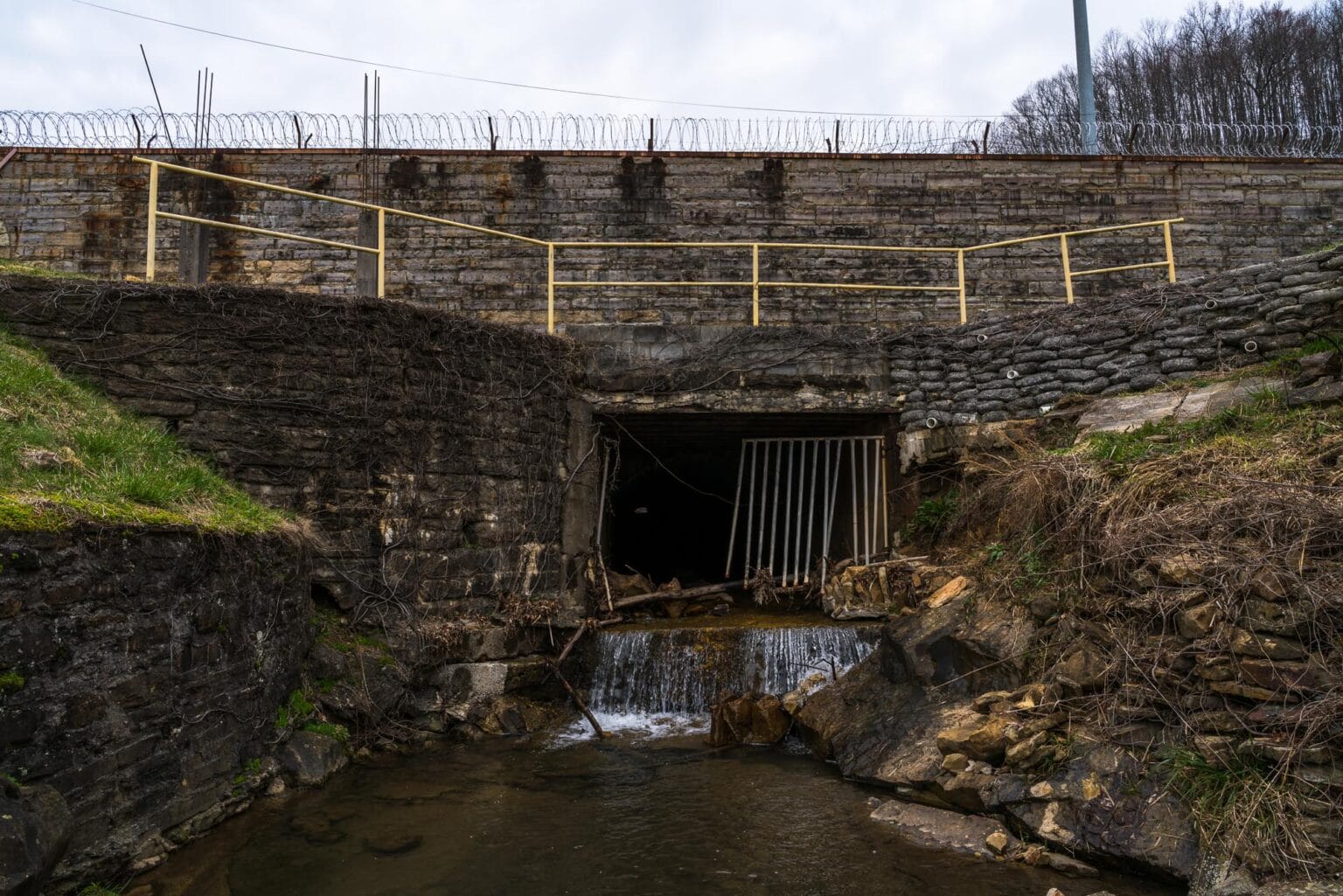 33 Insane Details That Make The Barkley Marathons Bizarre And Special