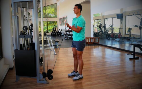 Bicep Cable Workouts: The 6 Best Cable Bicep Exercises