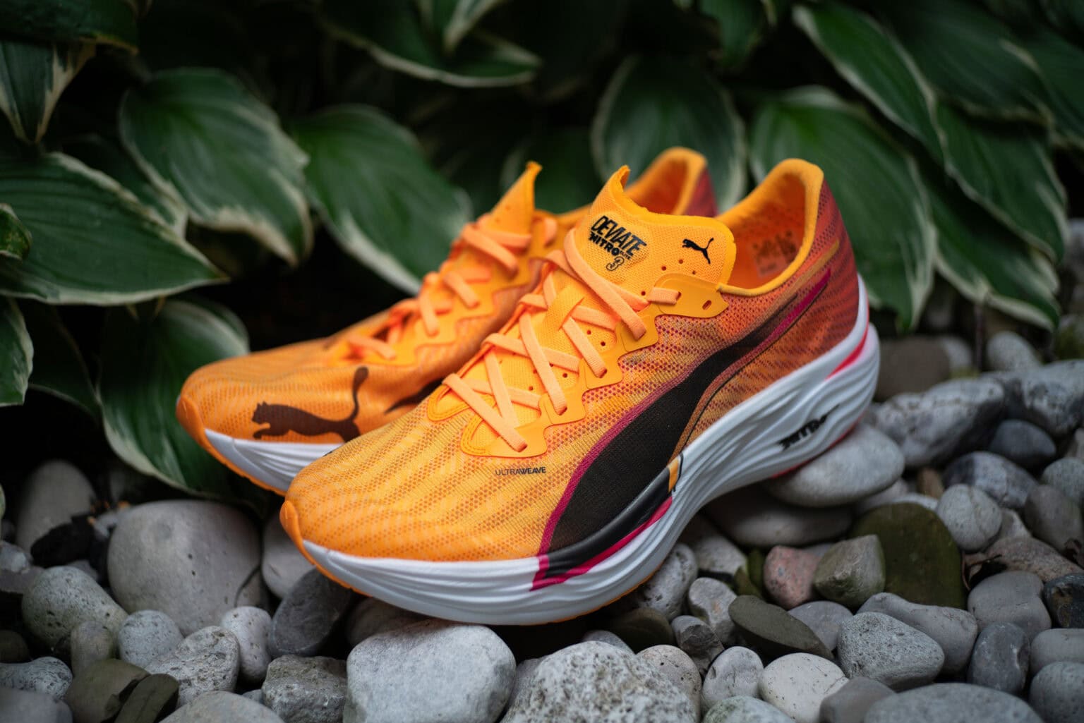 The Fastest Marathon Shoes Of 2024