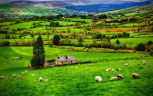 The 4 Best Half Marathons In Ireland