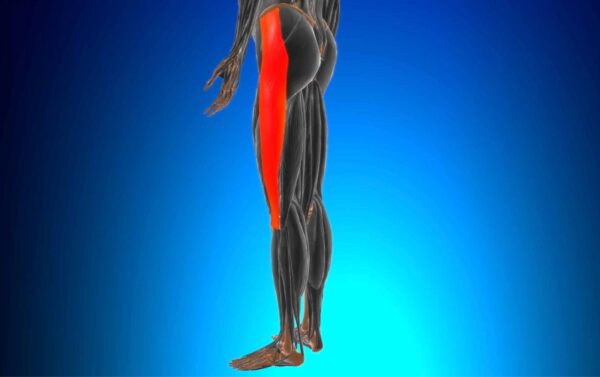 IT Band Syndrome (ITBS) – Fact Vs Fiction