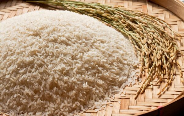 Rice Diet Guide + Is The Rice Diet Healthy And Good For Weight Loss?