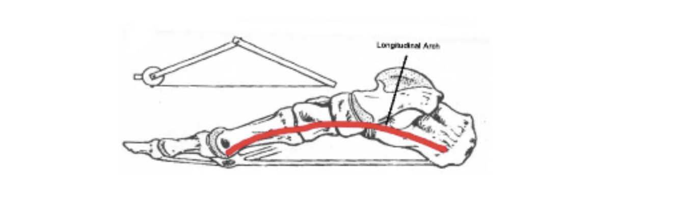 Run Faster - No Super Shoes Needed!