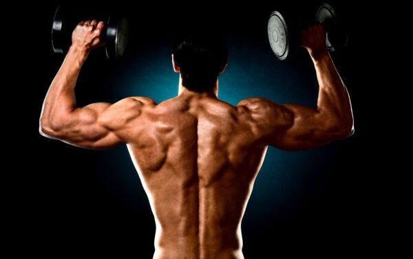 The 7 Best Shoulder Exercises For You Next Strength Workout