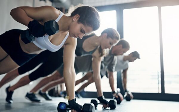 The Three Planes Of Motion Explained In Detail