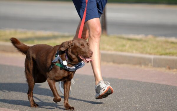 Too Tired To Work Out? 9 Workouts You Can Do Even If You're Tired