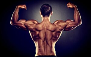 The 6 Best Upper Back Exercises For Strength + Definition