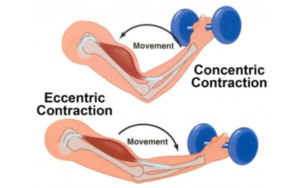 What Is Delayed Onset Muscle Soreness (DOMS)?