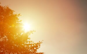 When Is It Too Hot To Run Outside? + 8 Tips For Running In The Heat